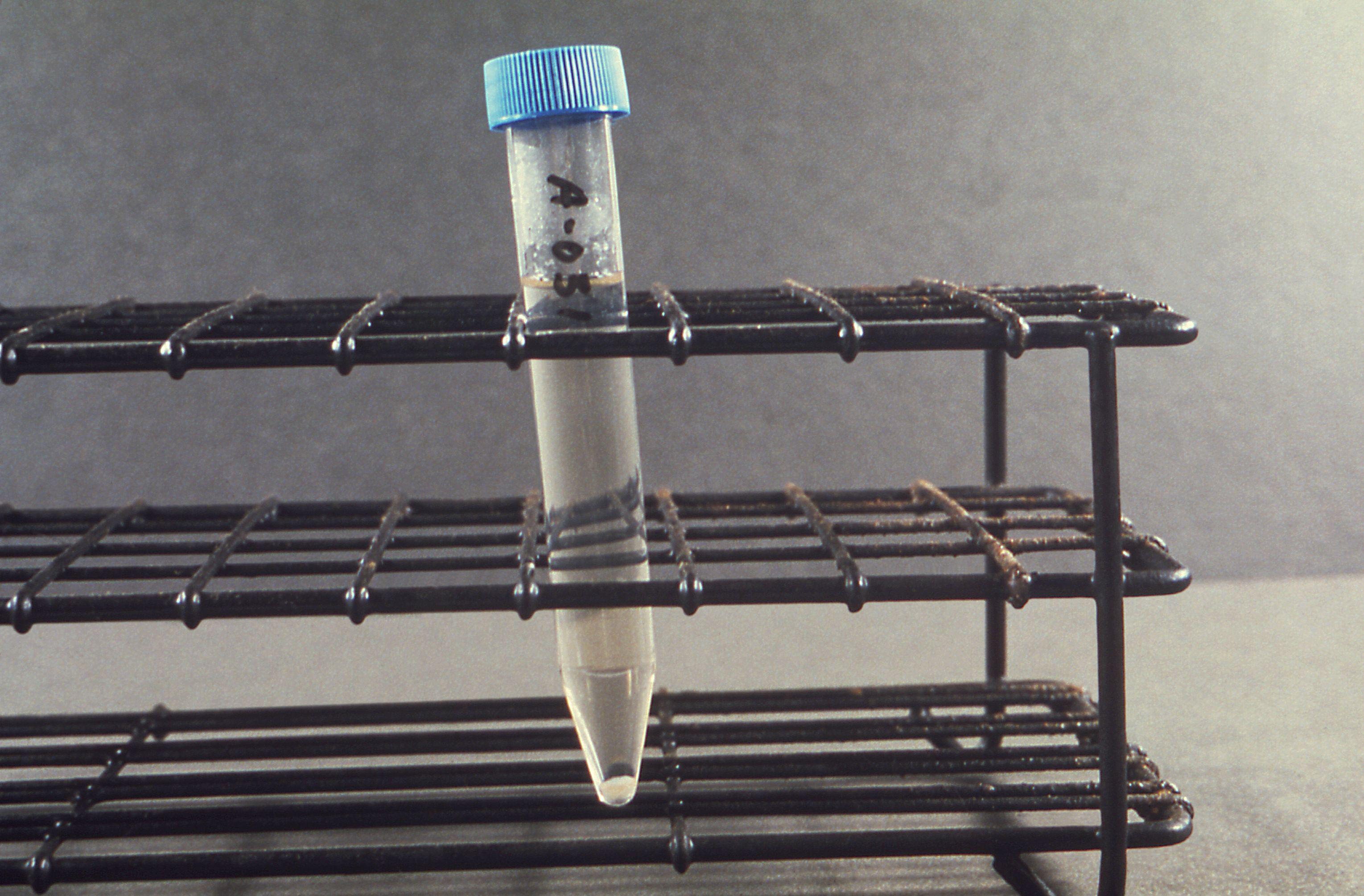 Outsource Preparation of cell pellets | Second Lab